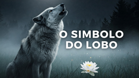 O símbolo do lobo | Lótus Xamanismo
